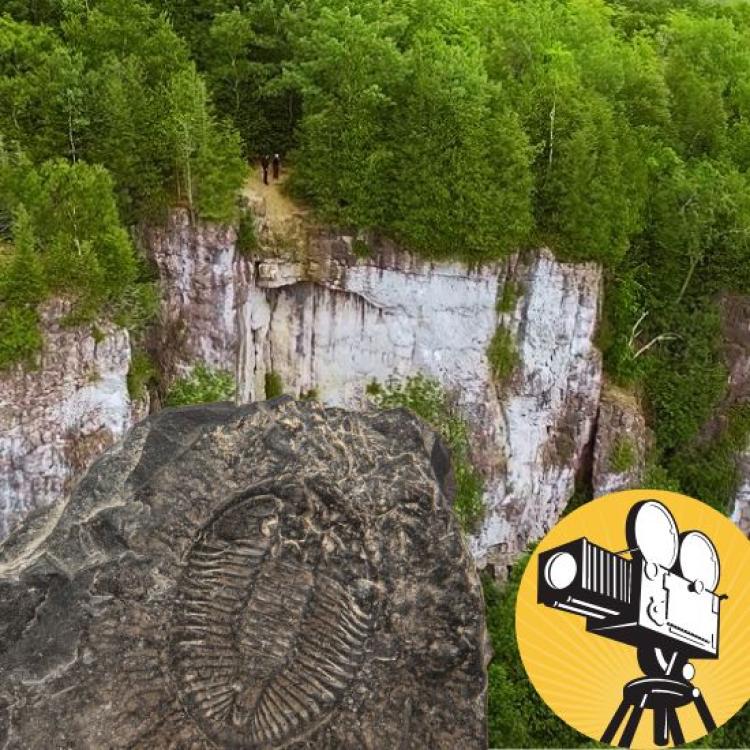 Adult Programs | The Blue Mountains Public Library